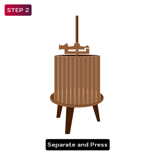 Wine Types | Cava: The In-depth GuidebyMassimo Vignaiolo