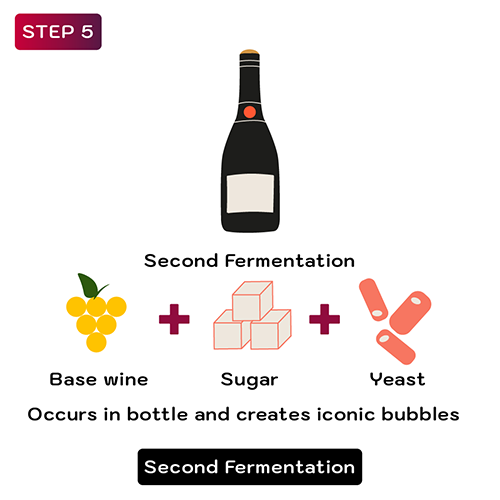 Wine Types | Cava: The In-depth GuidebyMassimo Vignaiolo