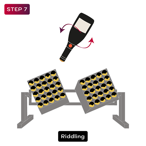 Wine Types | Cava: The In-depth GuidebyMassimo Vignaiolo