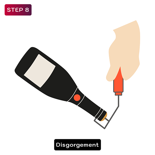 Wine Types | Cava: The In-depth GuidebyMassimo Vignaiolo