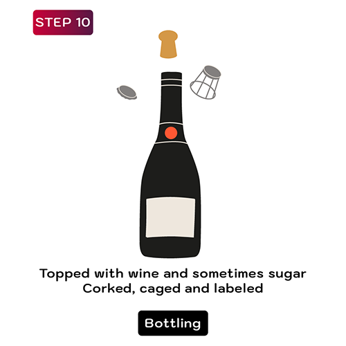 Wine Types | Cava: The In-depth GuidebyMassimo Vignaiolo