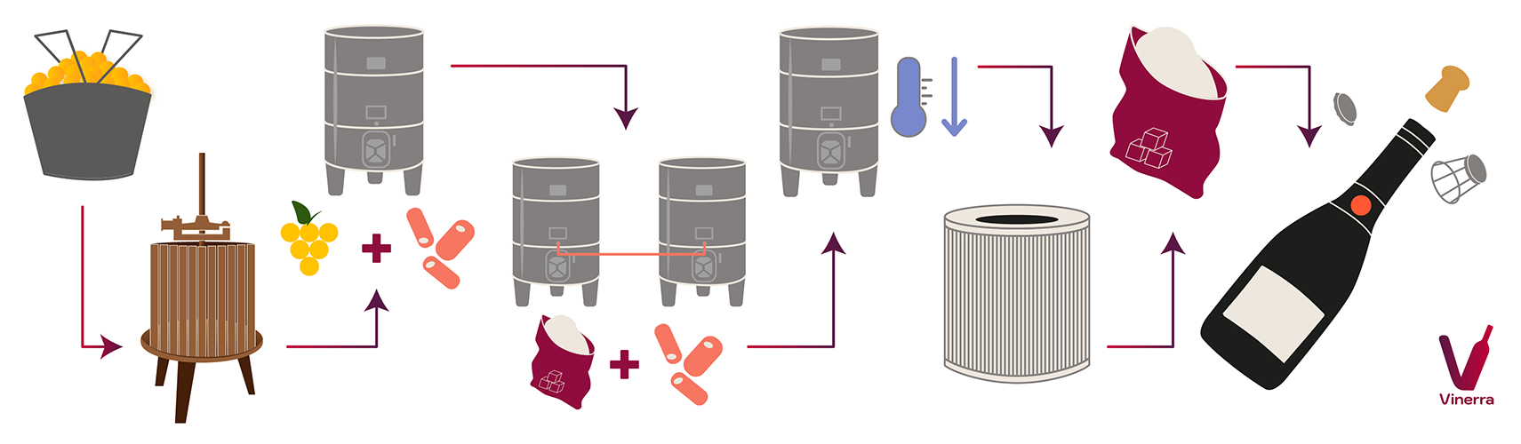 Wine Types | Prosecco: The In-depth Guide