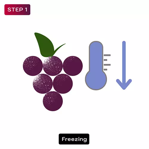 Wine Types | Icewine (Eiswein): In-Depth GuidebyMassimo Vignaiolo