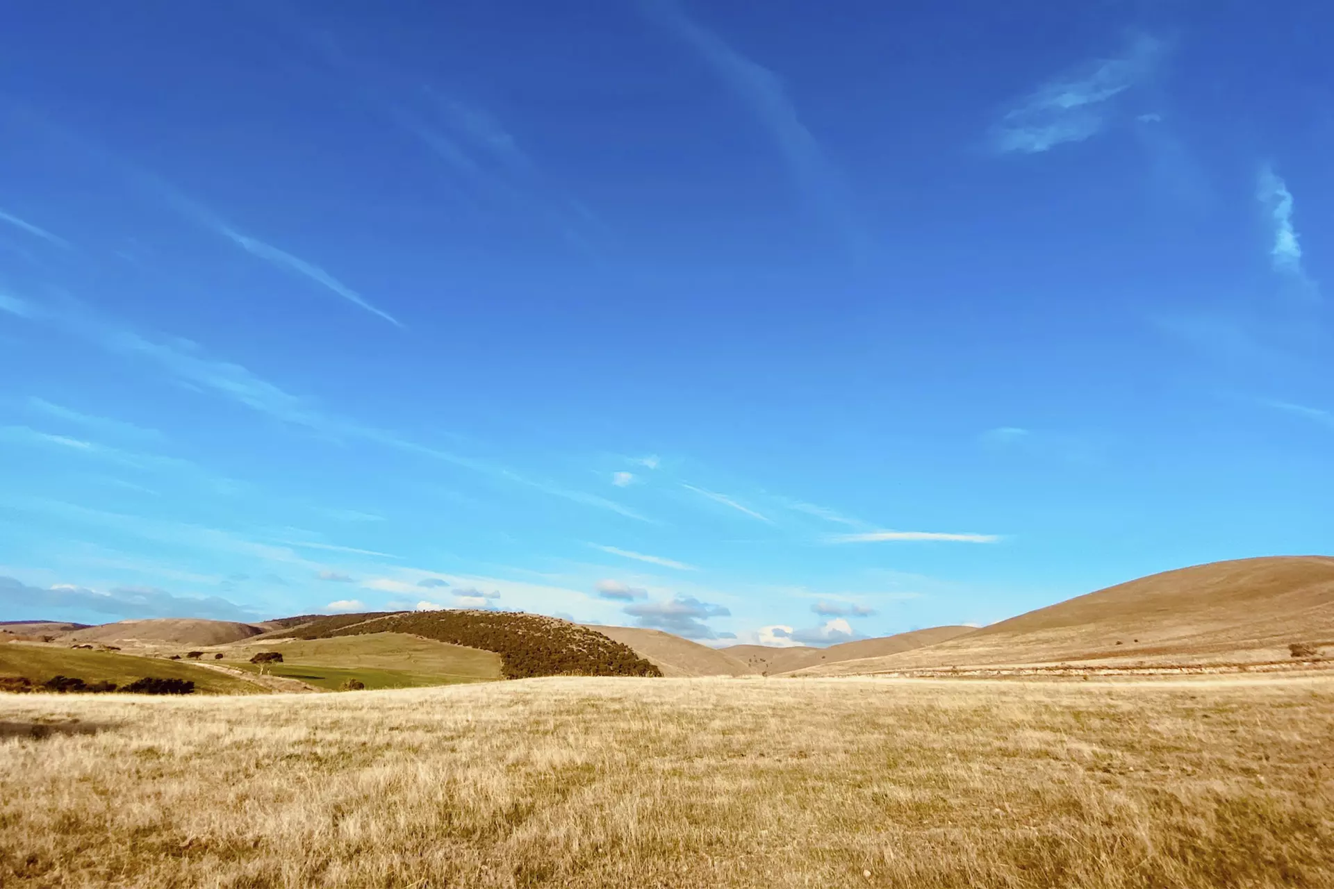 Discover the Adelaide Hills wine sub-region of Australia