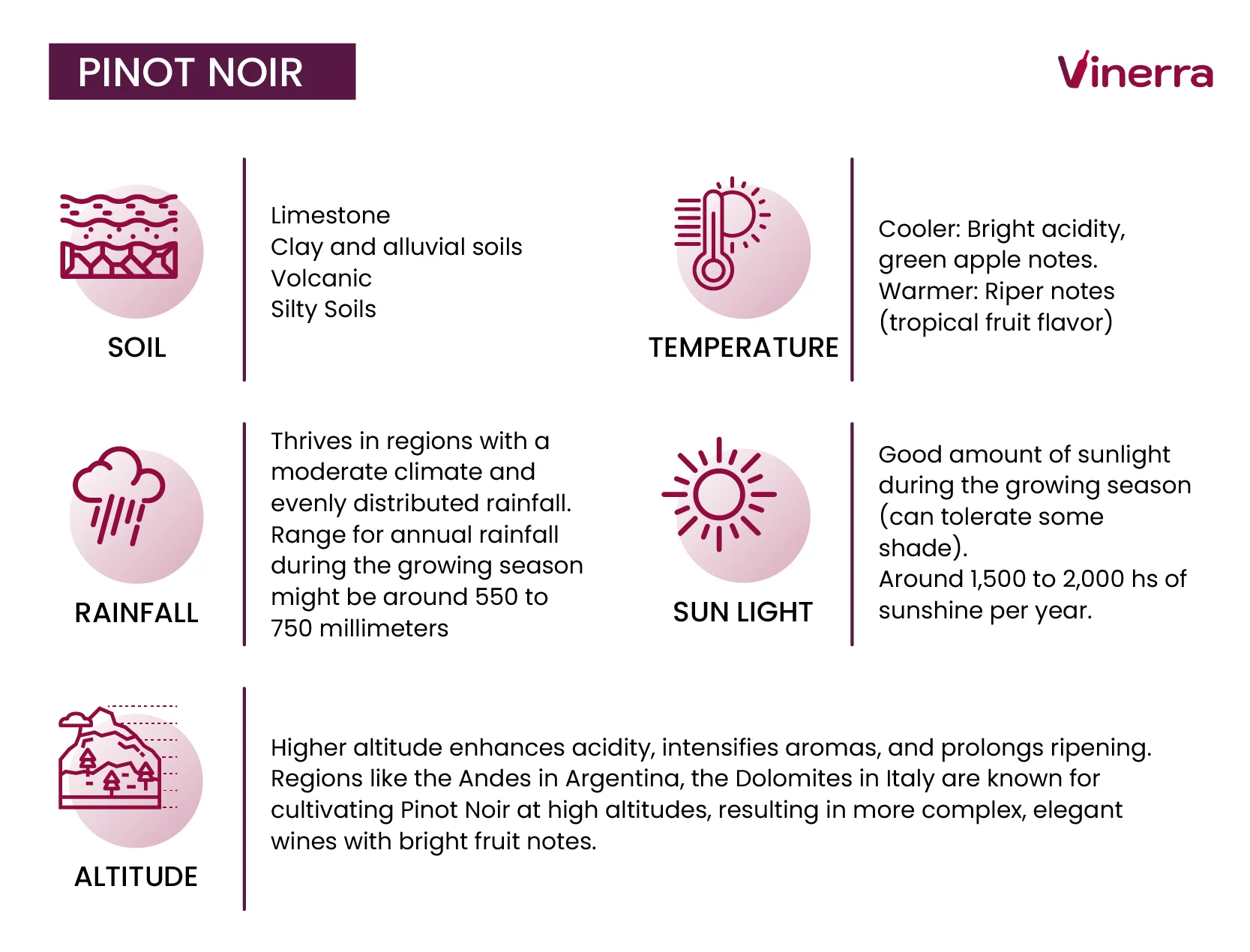 Pinot Noir: In-Depth Grape Varietal Profile