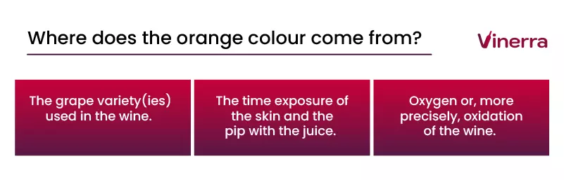 In-Depth Guide: Orange WinebyMassimo Vignaiolo