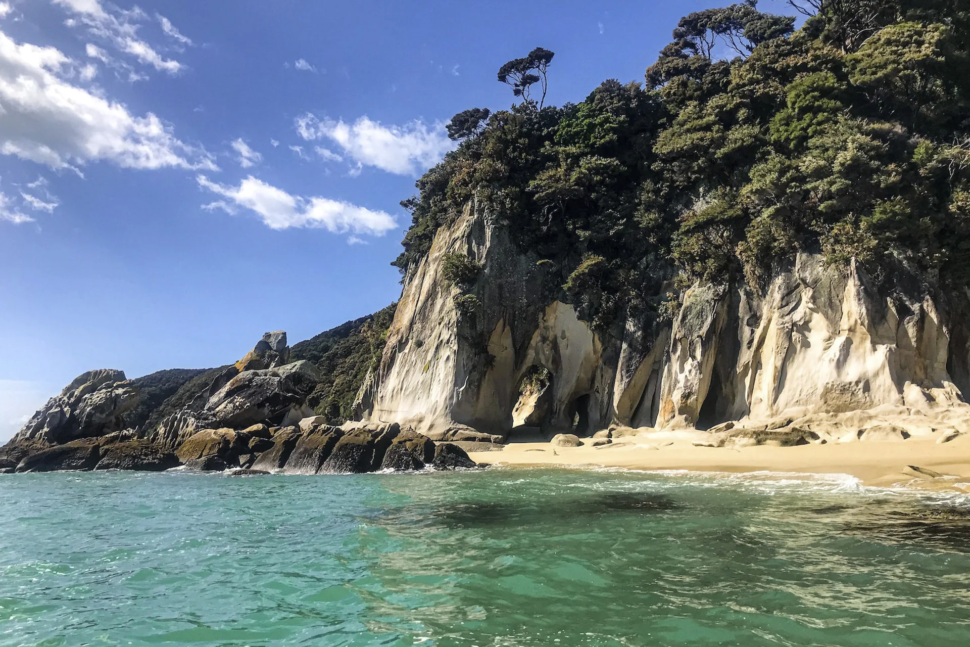 Discover the Marlborough wine region of New Zealand