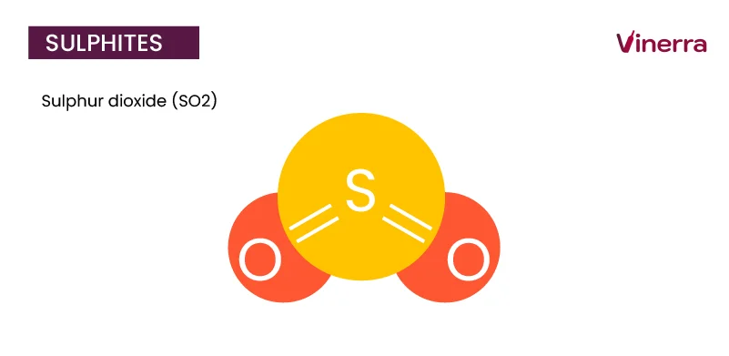 Sulphites in Wine: The In-Depth Guide by