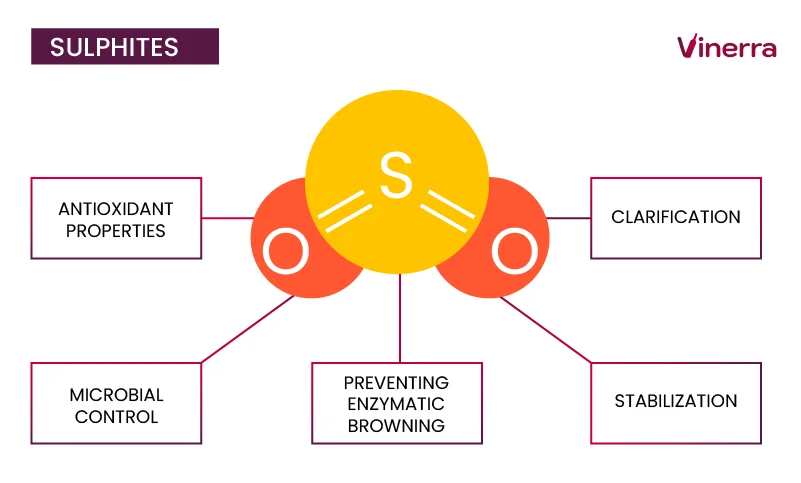 Sulphites in Wine: The In-Depth Guide by