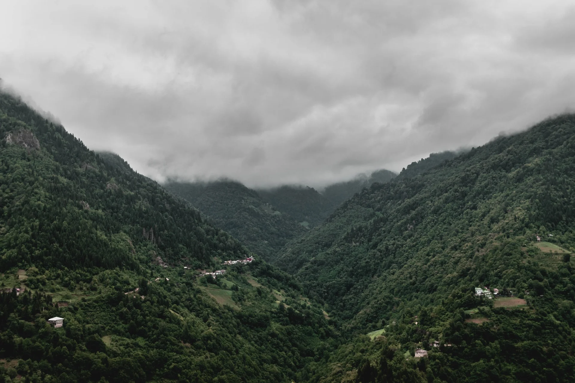 Discover the Adjara wine region of Georgia