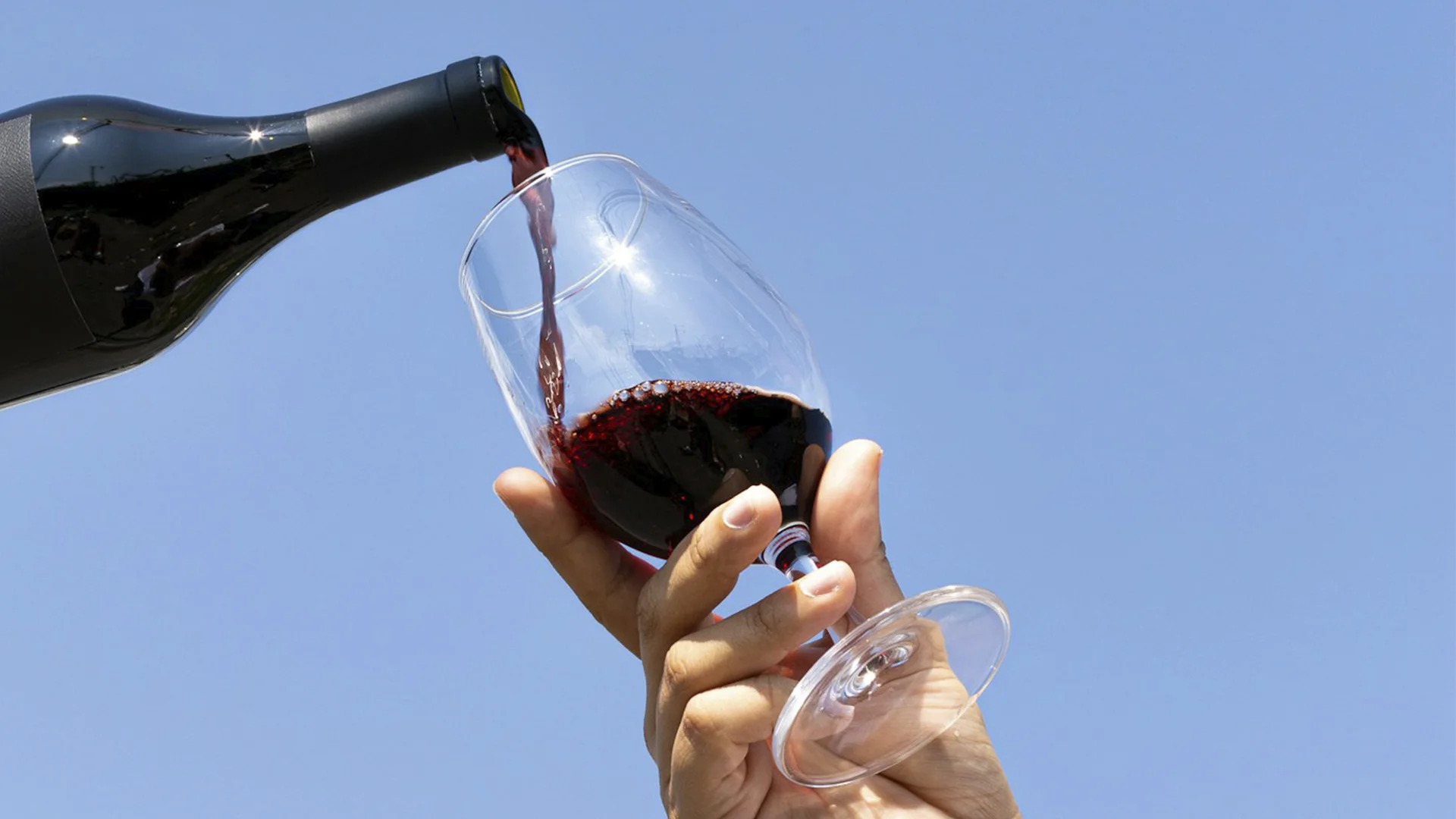 Syrah: In-Depth Wine Profile
