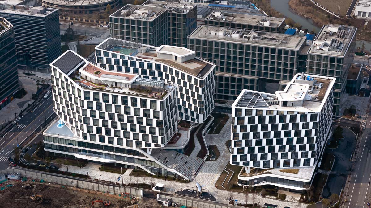 The Giant Whales | LYCS Architecture