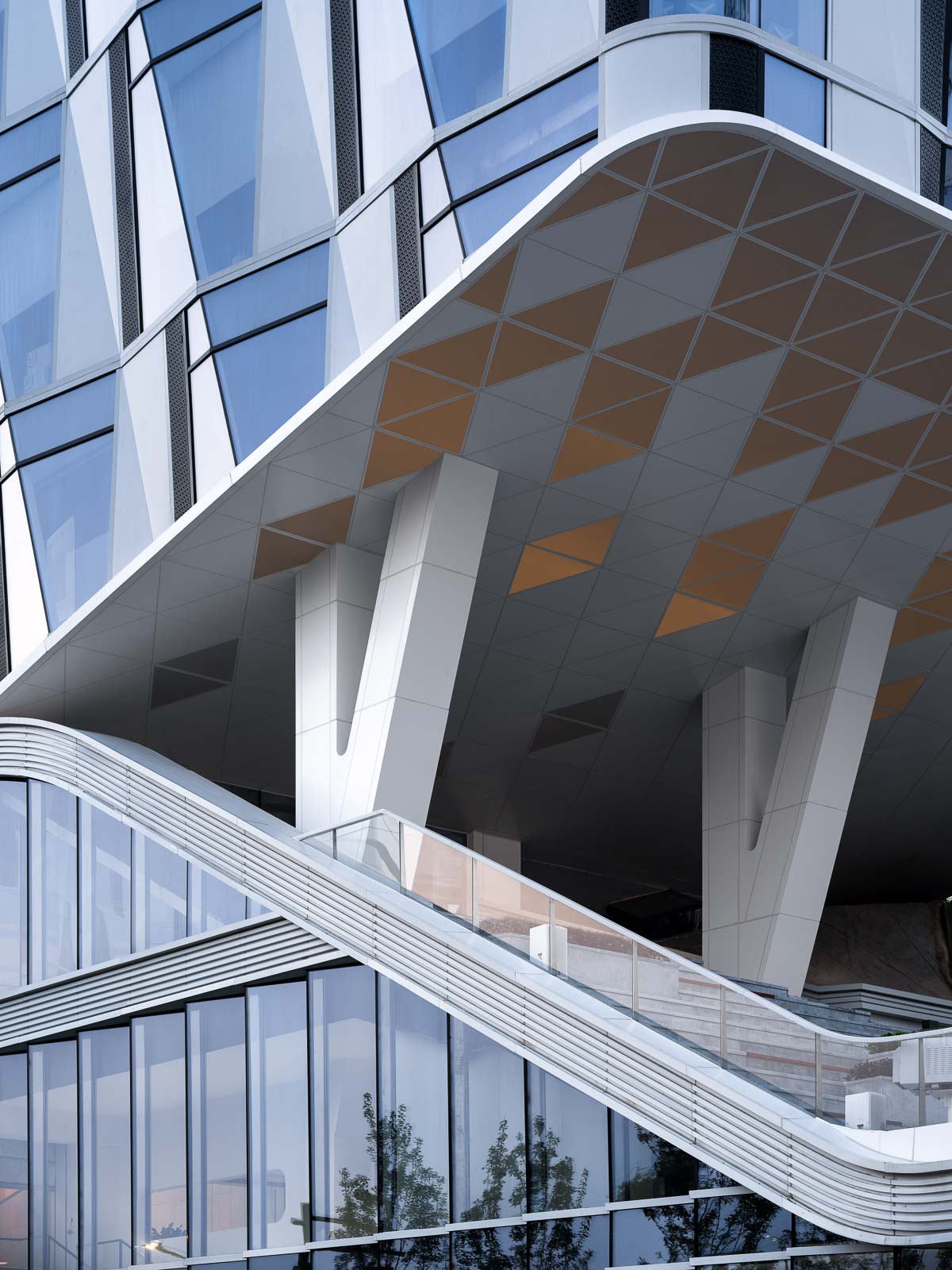 The Giant Whales | LYCS Architecture