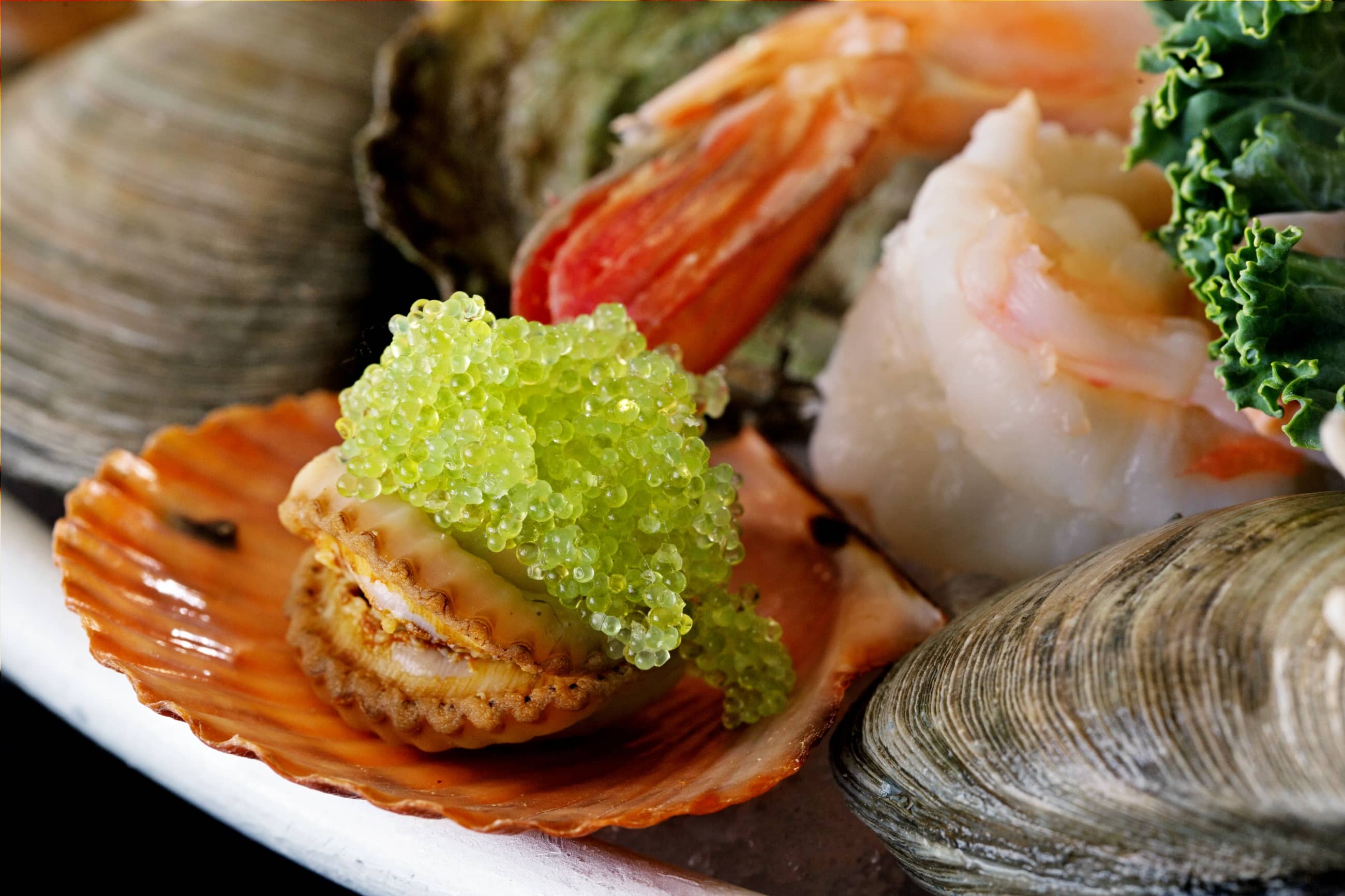 Our Menu | Max Fish | Glastonbury, CT