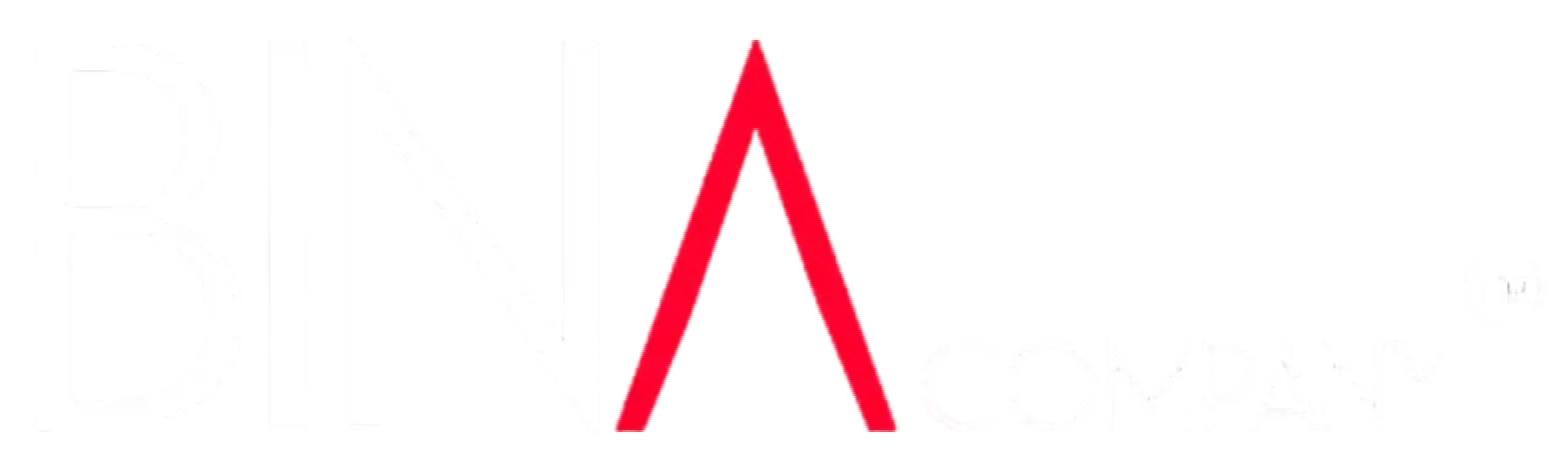 BINA Company | Illuminating your world.