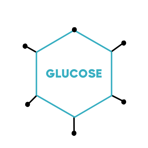 Glucose Education Guide | Signos