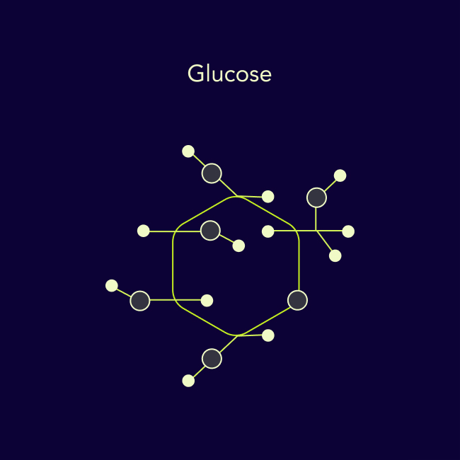 Science Behind Monitoring Blood Sugar & Weight Loss - Signos