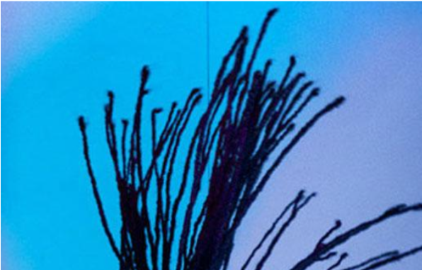 Players Health | Solutions to Protect Young Athletes