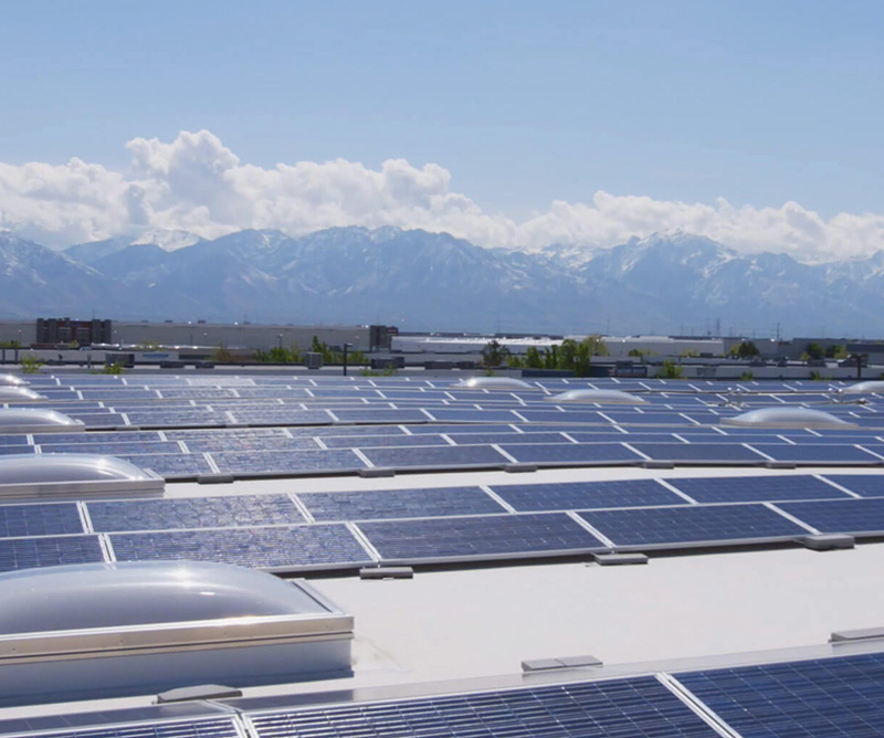 Sustainable Packaging | Packsize