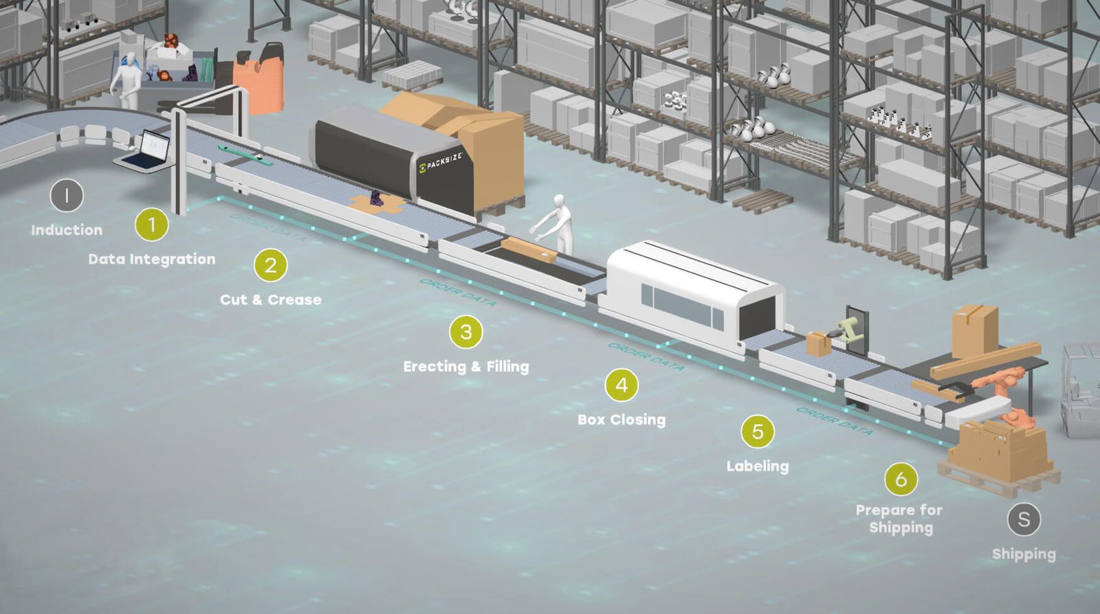 Packaging Processes Optimization | Packsize