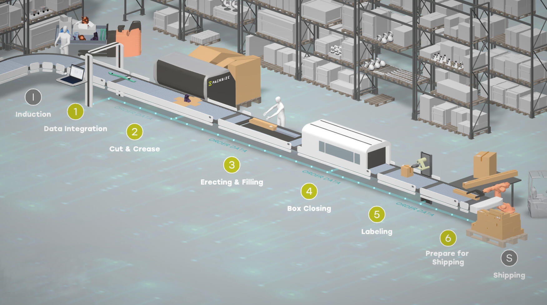 Packaging Processes Optimization | Packsize