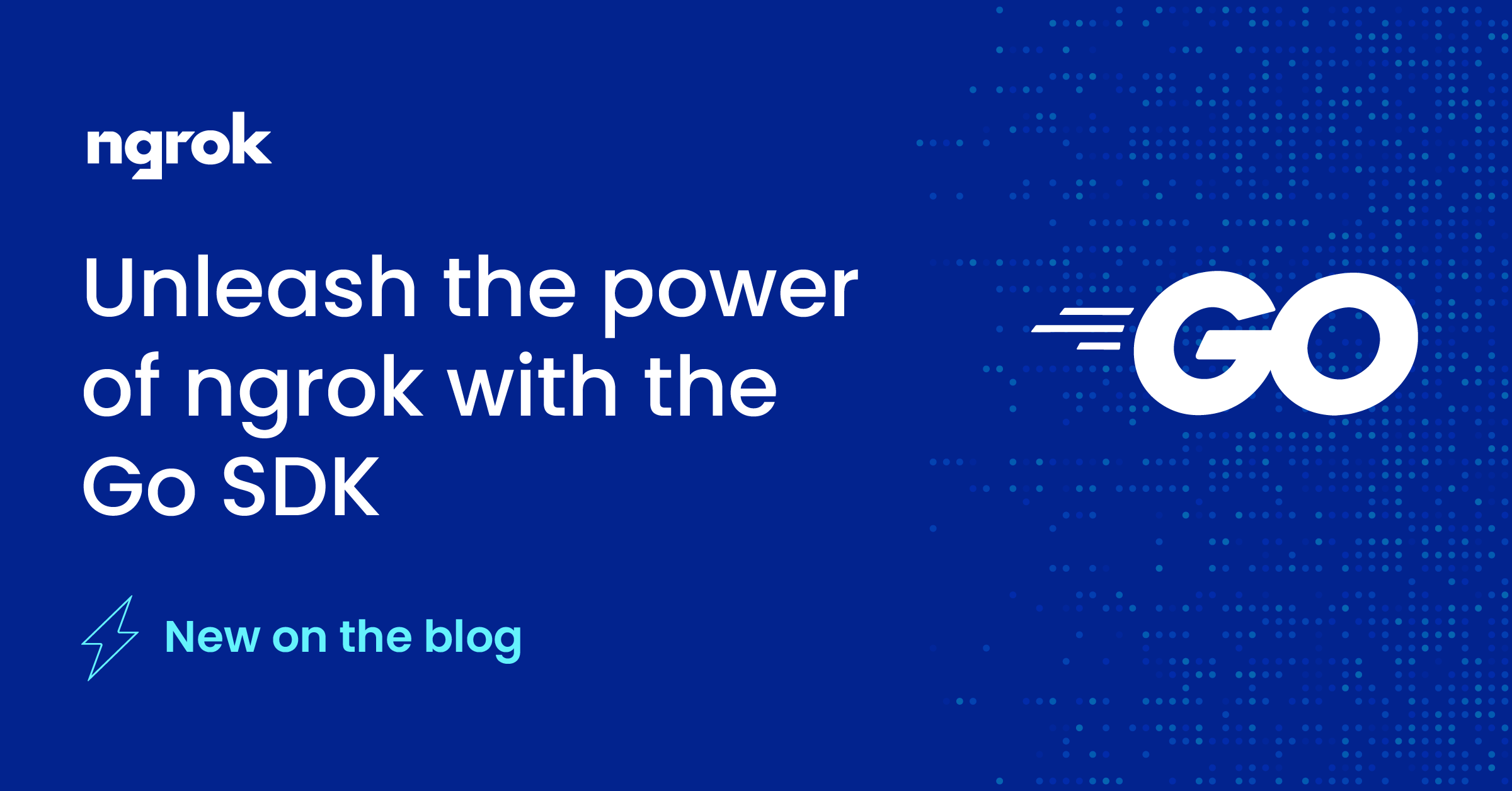 ngrok blog: Unleash the power of ngrok with our Go SDK ngrok blog: Unleash the power of ngrok with our Go SDK