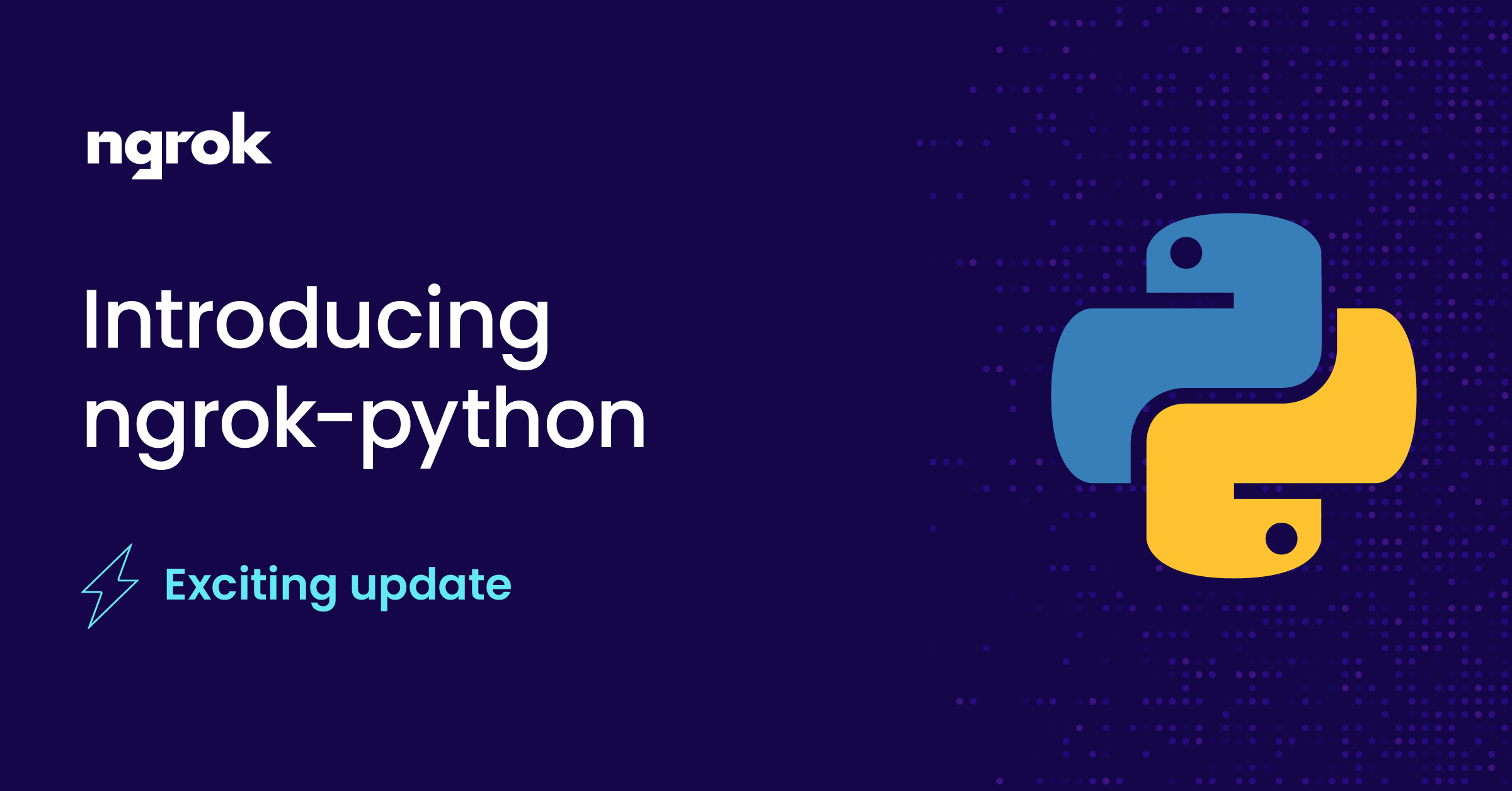 ngrok blog: Introducing the ngrok Python SDK