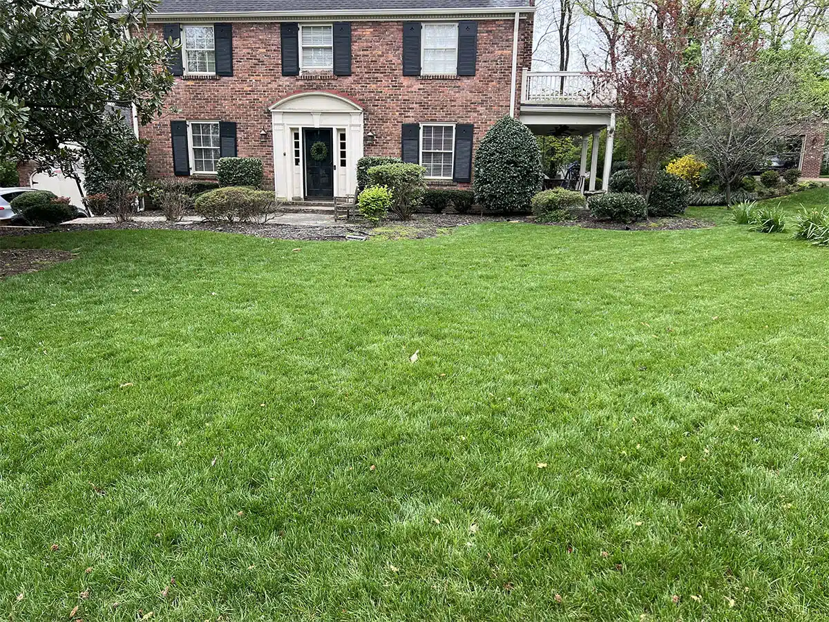 Before & After Gallery - Pure Turf LLC