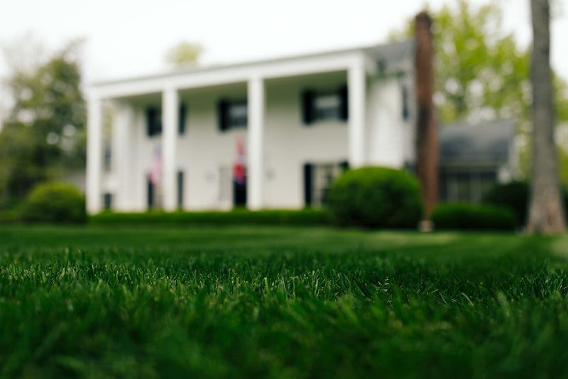 Pure Turf LLC: Complete Lawn Care Services in Nashville, TN