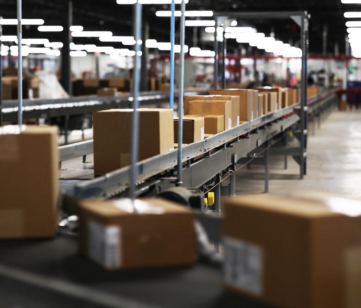 Box Packaging Design | Packsize