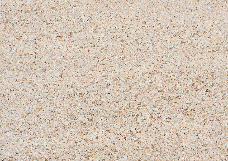 Moca Creme - Beige Limestone - Doma Stone