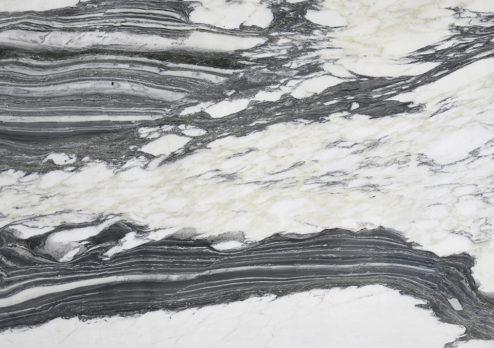 Calacatta Black - White Marble - Doma Stone