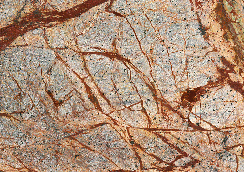 Rain Forest Brown - Brown Marble - Doma Stone