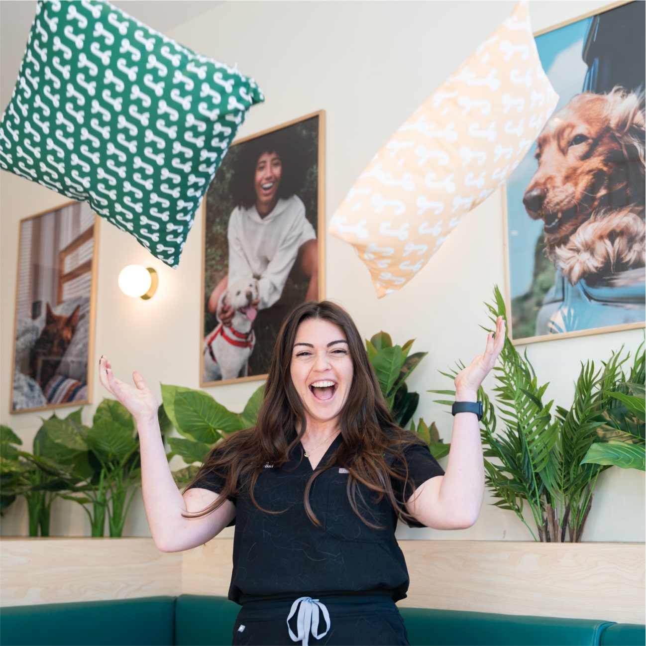 Veterinary jobs in Toronto | Juno Veterinary