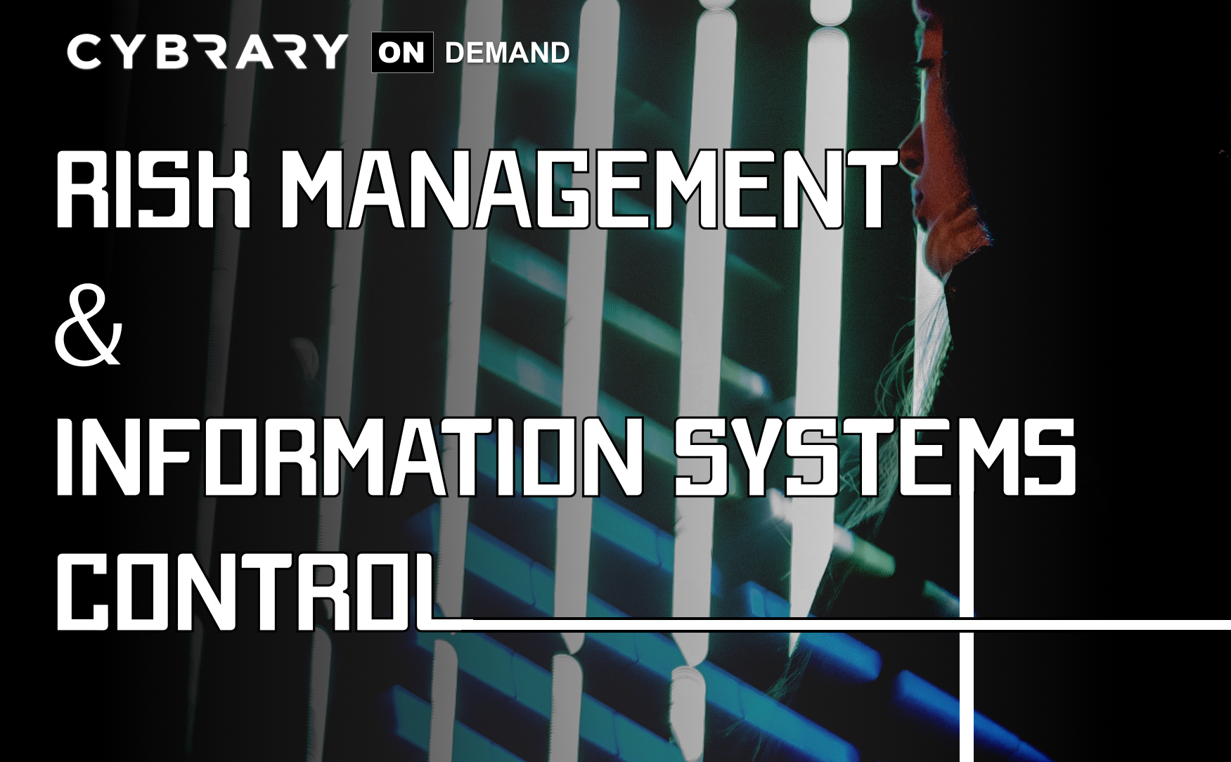 Risk Management and Information Systems Control Online Training Course ...