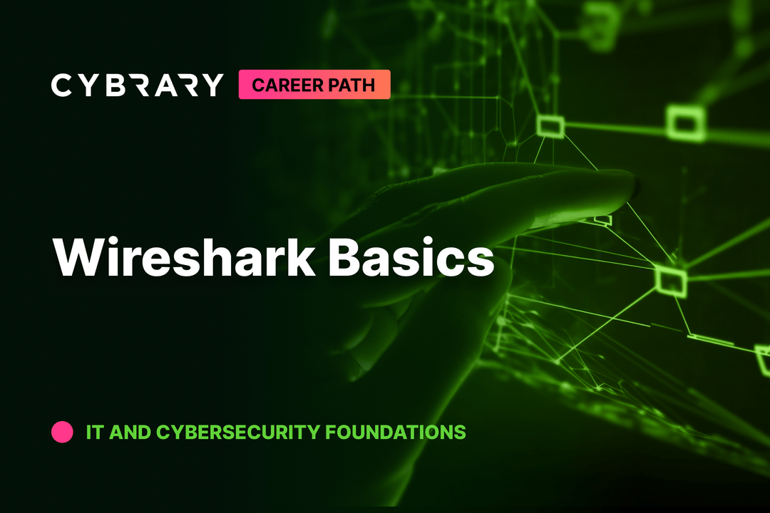 Wireshark Basics Virtual Lab | Cybrary