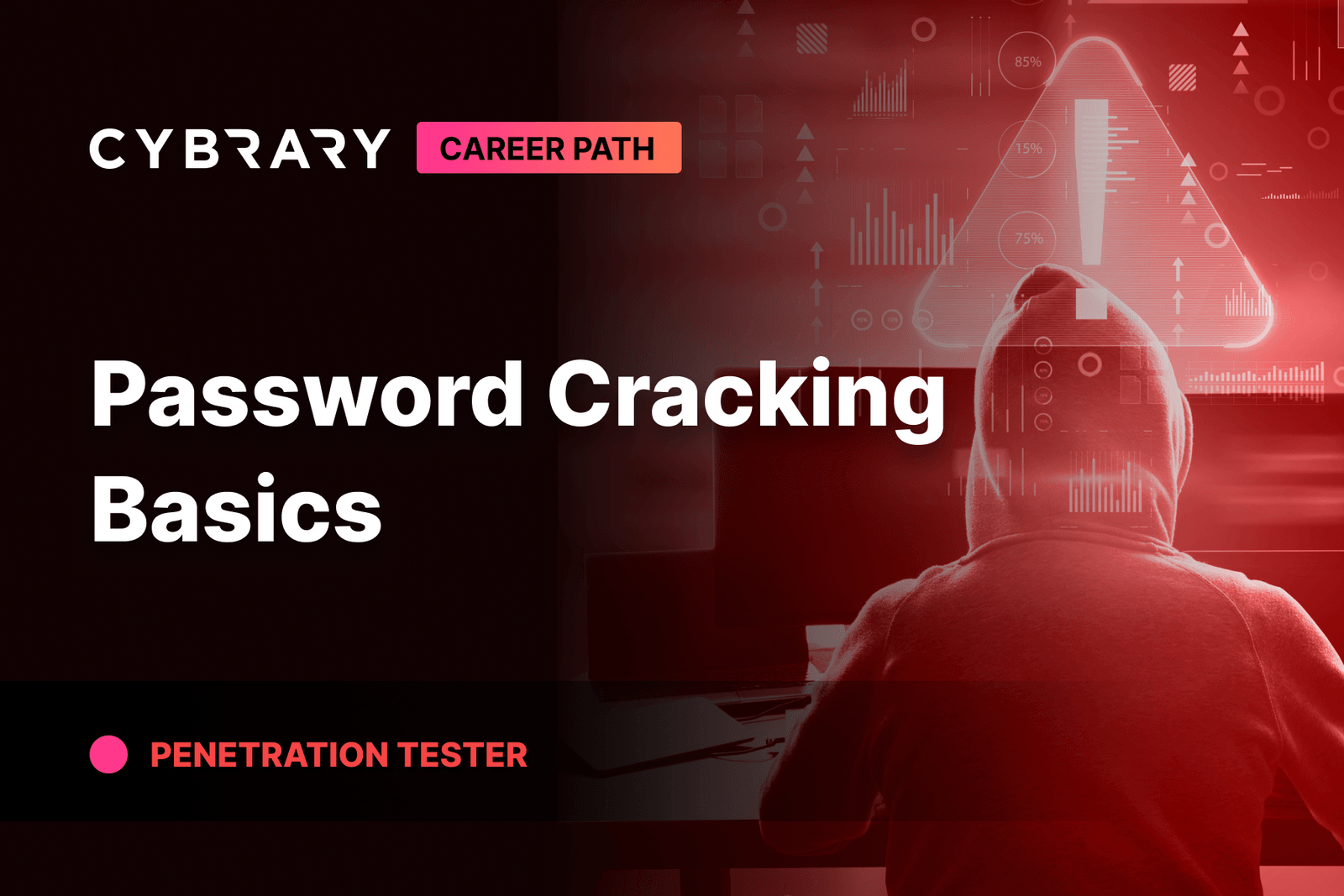 Password Cracking Basics Virtual Lab | Cybrary