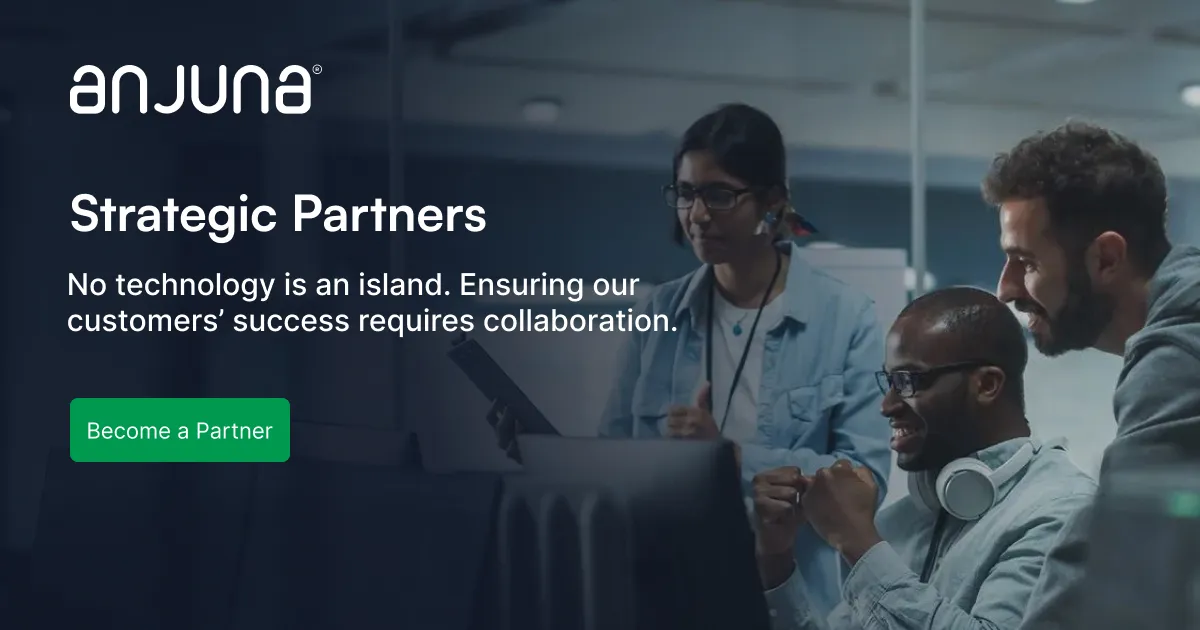 Strategic Partners | Anjuna Security