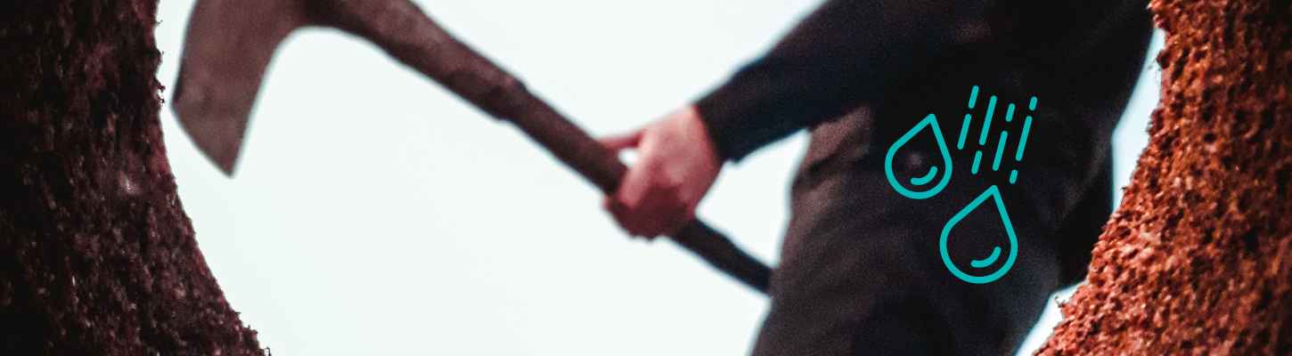 Properties using borehole water must display a sign