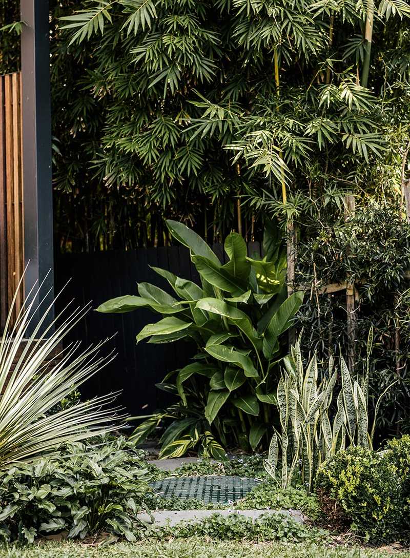 Creating Texture in the Garden - Harrisons Landscape