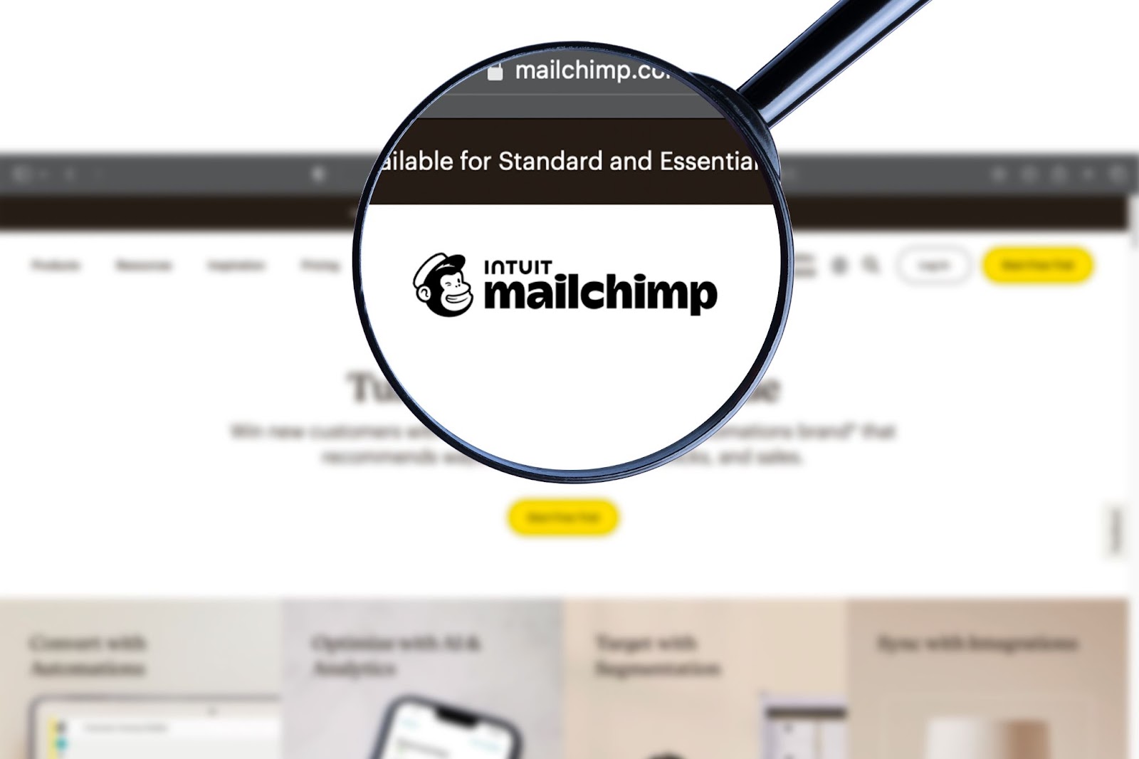 New Mailchimp Features Review For 2023