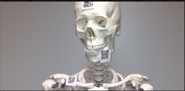 Using QR Codes In Physical Education