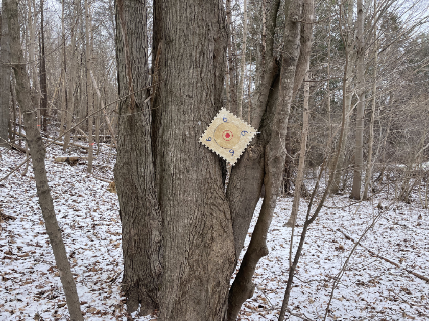 Forest Archery: A DIY #PhysEd Project