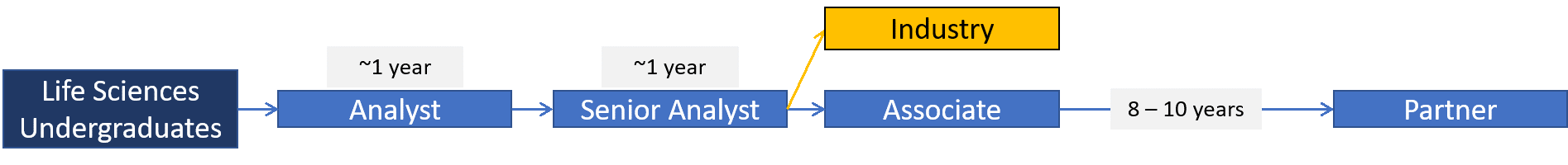 What Are the Different Career Paths for Life Sciences Graduates?