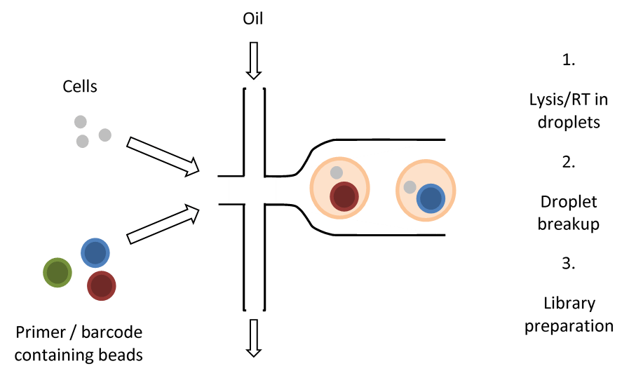 Illumina Bio-Rad and 10X Genomics Update