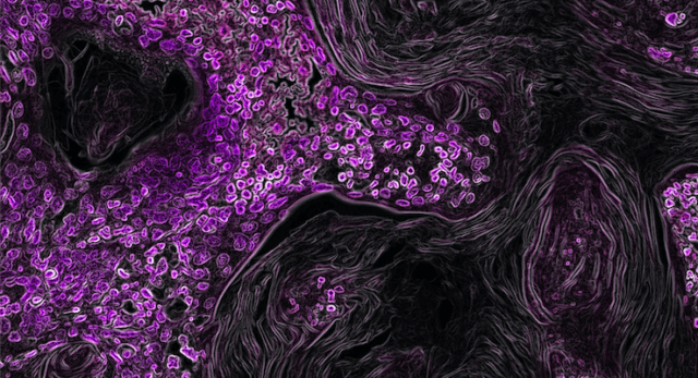 Spatial Omics Year in Review