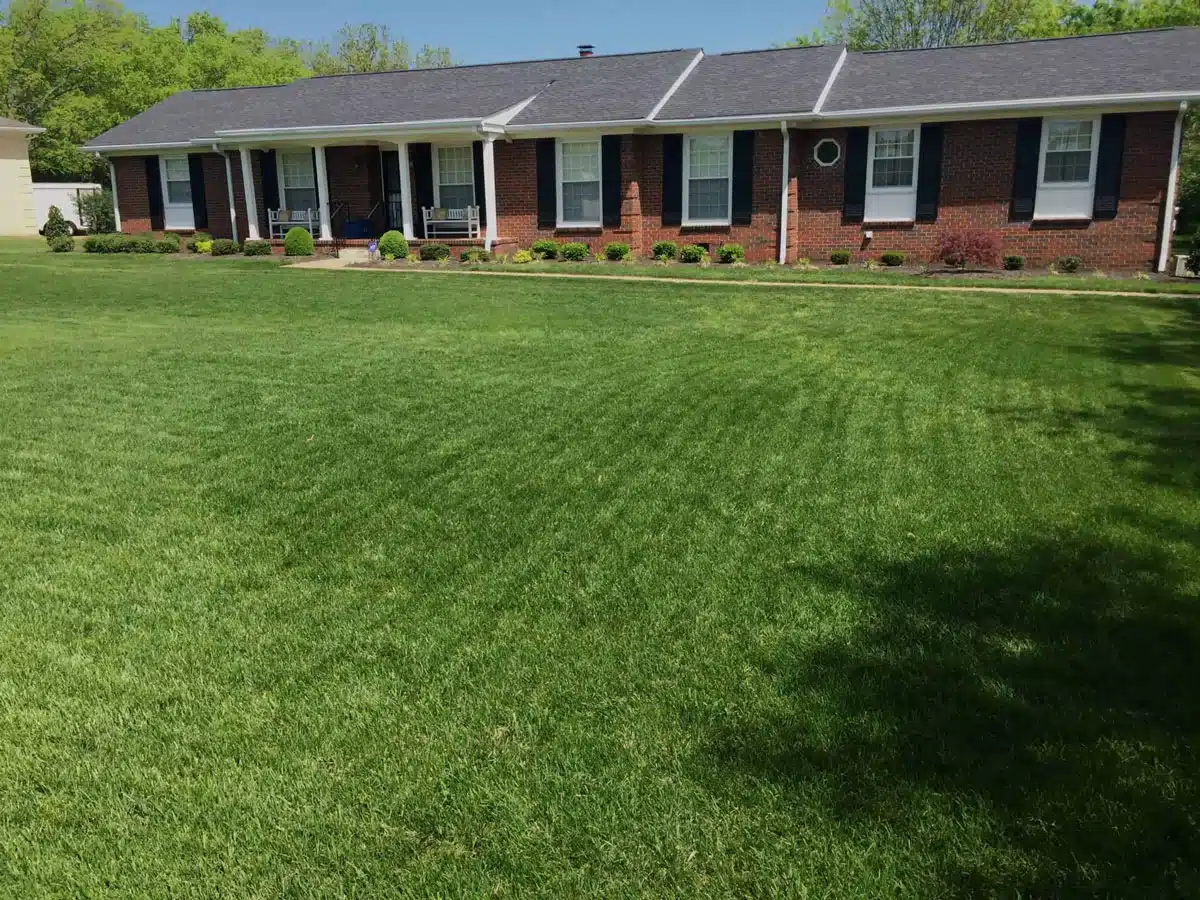 Before & After Gallery - Pure Turf LLC