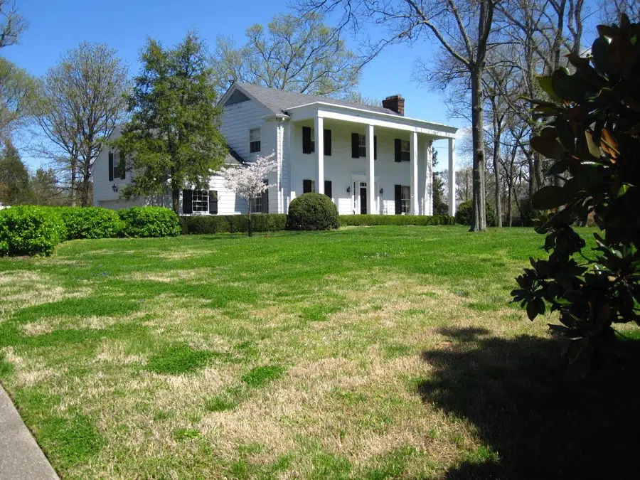 Before & After Gallery - Pure Turf LLC