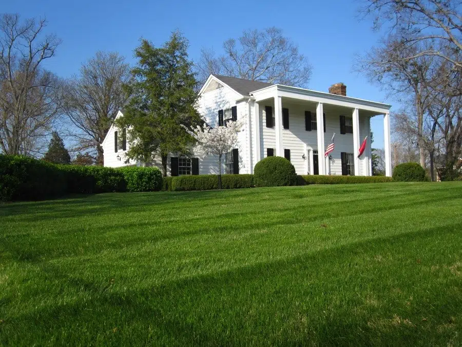 Before & After Gallery - Pure Turf LLC