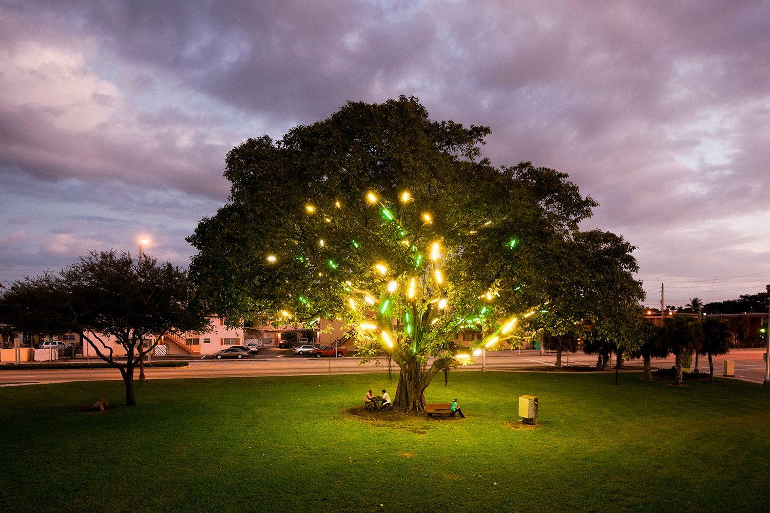 Mark Handforth: Electric Tree